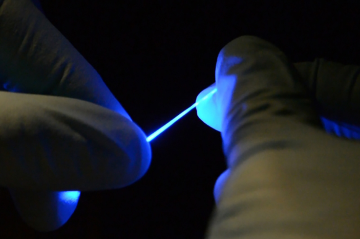 Rubbery, implantable fibers used to study the spinal cord - MassDevice