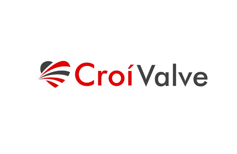 Tricuspid valve repair device maker CroíValve raises $4m - MassDevice