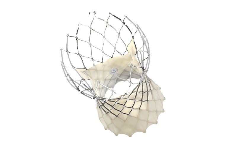 Medtronic Evolut Pro TAVR has positive outcomes in study