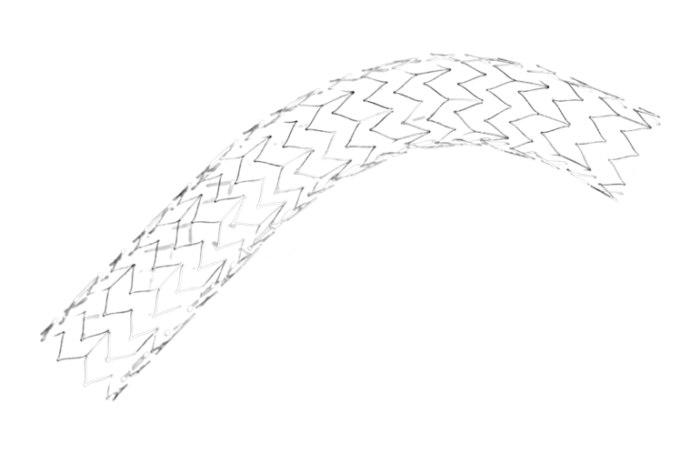 Serenity Medical earns FDA humanitarian approval for River stent