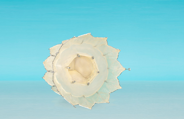 TriCares wins FDA IDE to study Topaz tricuspid valve replacement