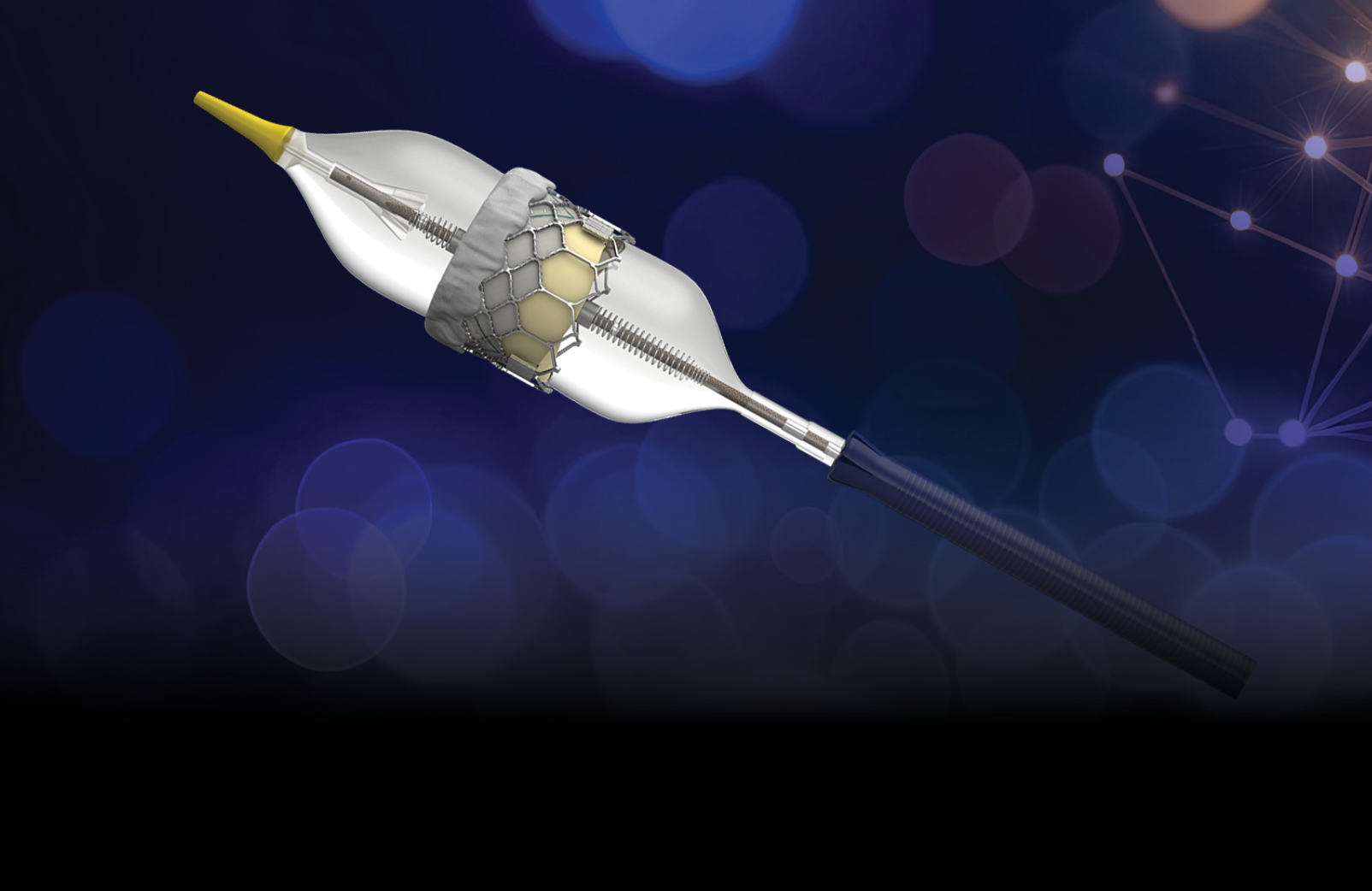 Transcatheter Heart Valves Special Report | MassDevice