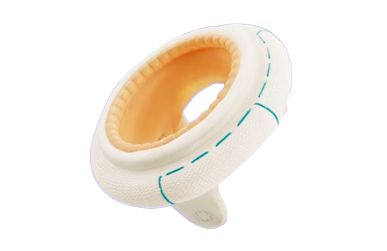 Medtronic wins FDA nod for next-gen mitral valve